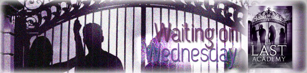 The Last Academy by Anne Applegate